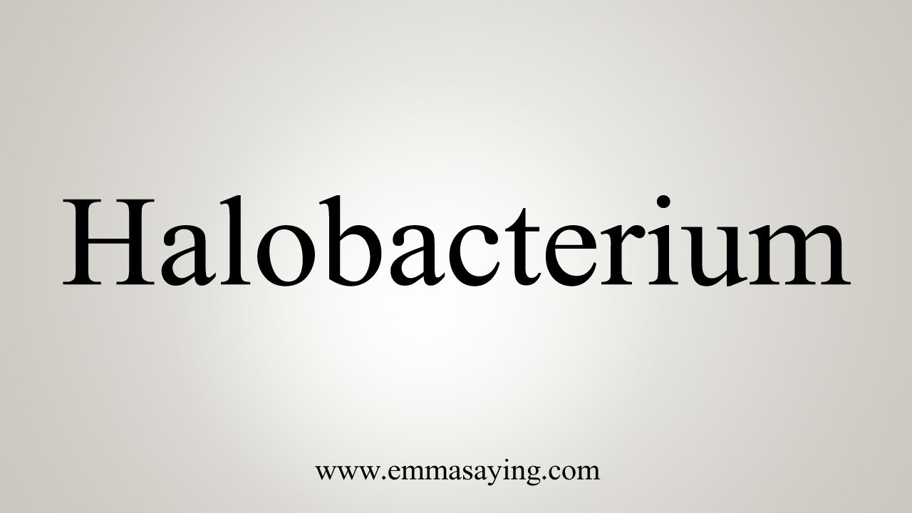 How To Say Halobacterium - YouTube
