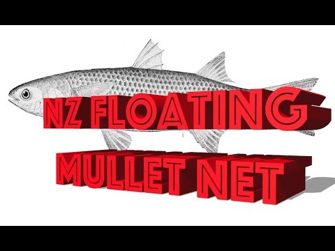 NZ Floating Mullet Fishing Net - YouTube