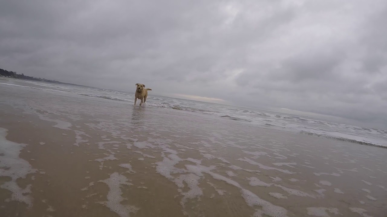 GoPro Hero sample footage - YouTube