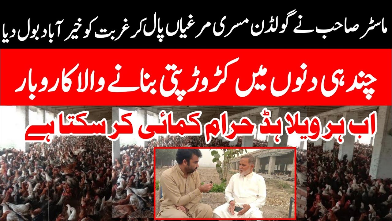 desi hen farming at home| desi poultry farm| hen farming in home - YouTube