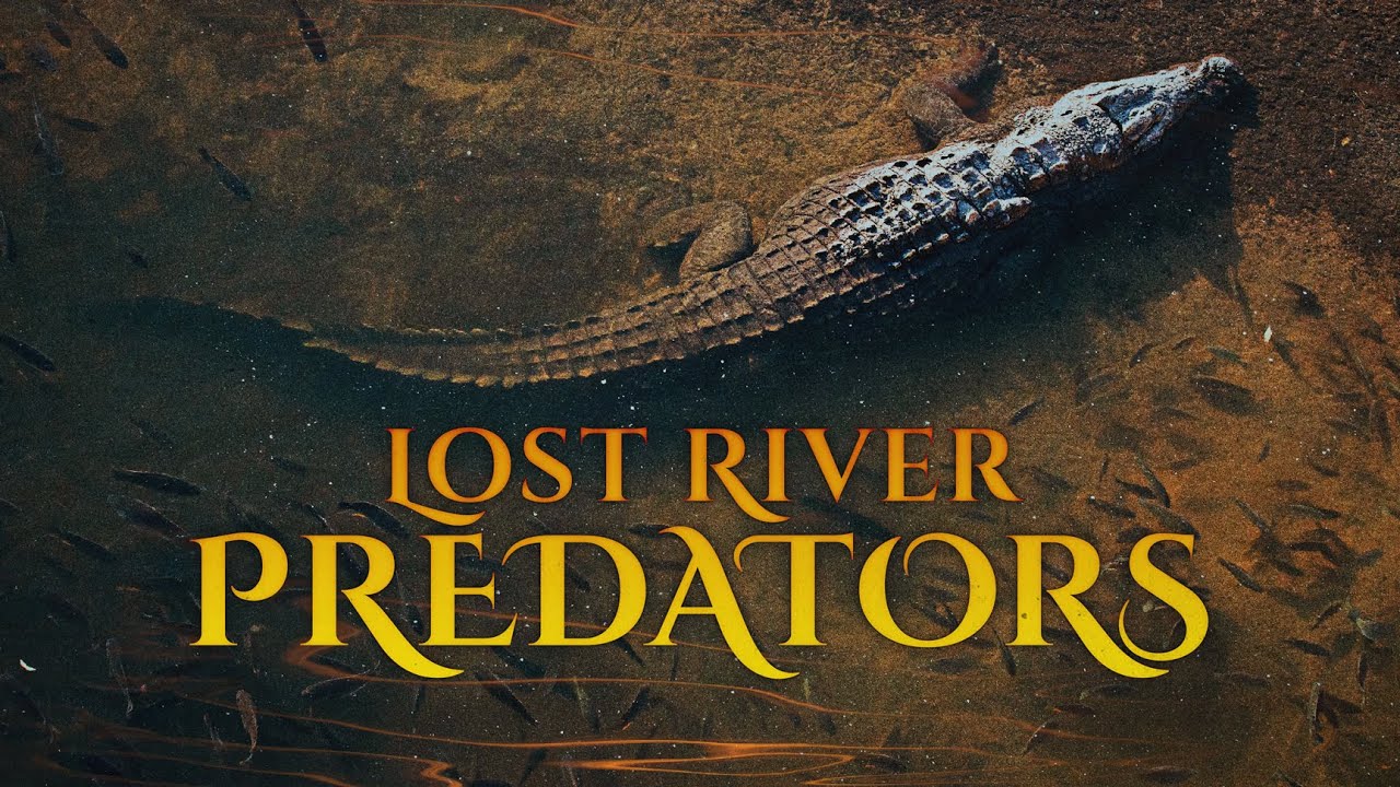 Lost River Predators - Day of the Caiman #wildlife #rivermonsters - YouTube