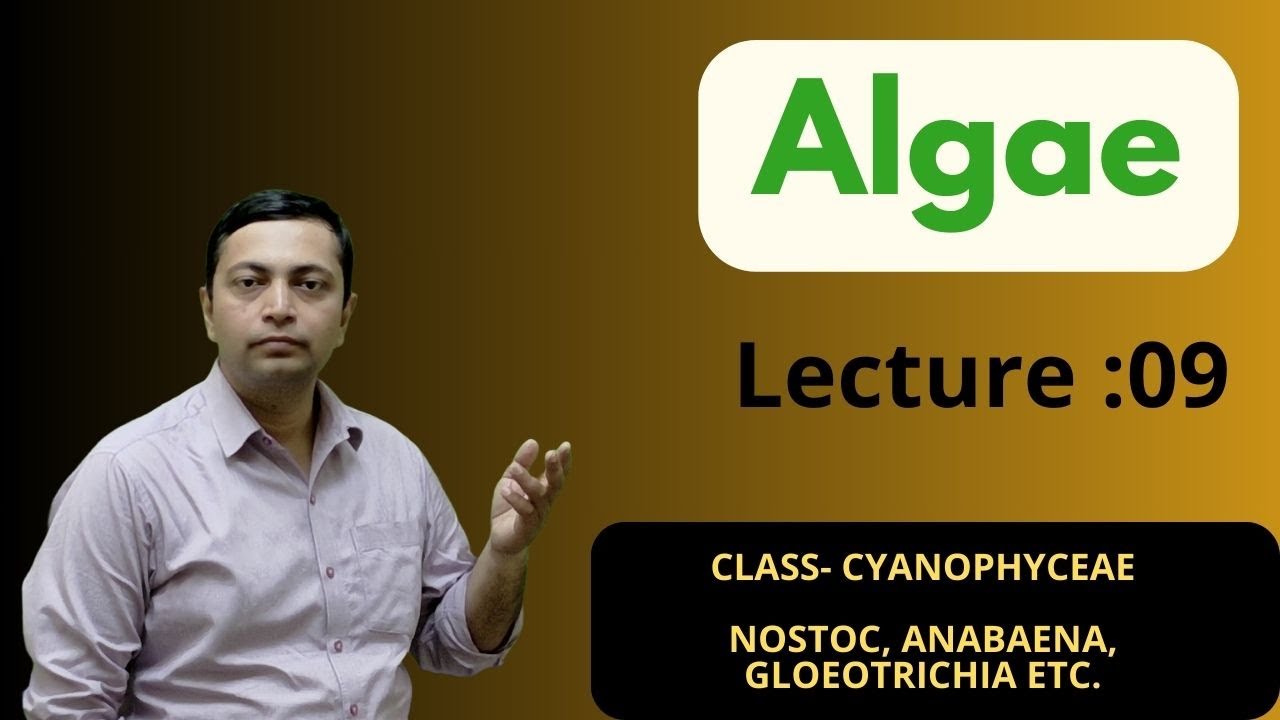 Lecture: 09 Class- Cyanophyceae (Myxophyceae) - YouTube