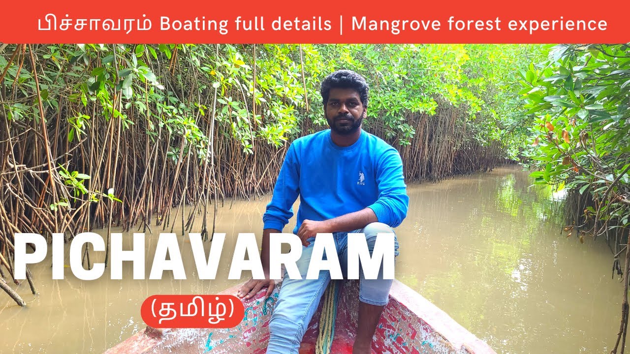 Pichavaram boat ride full details | Mangrove forest near Pondicherry ...