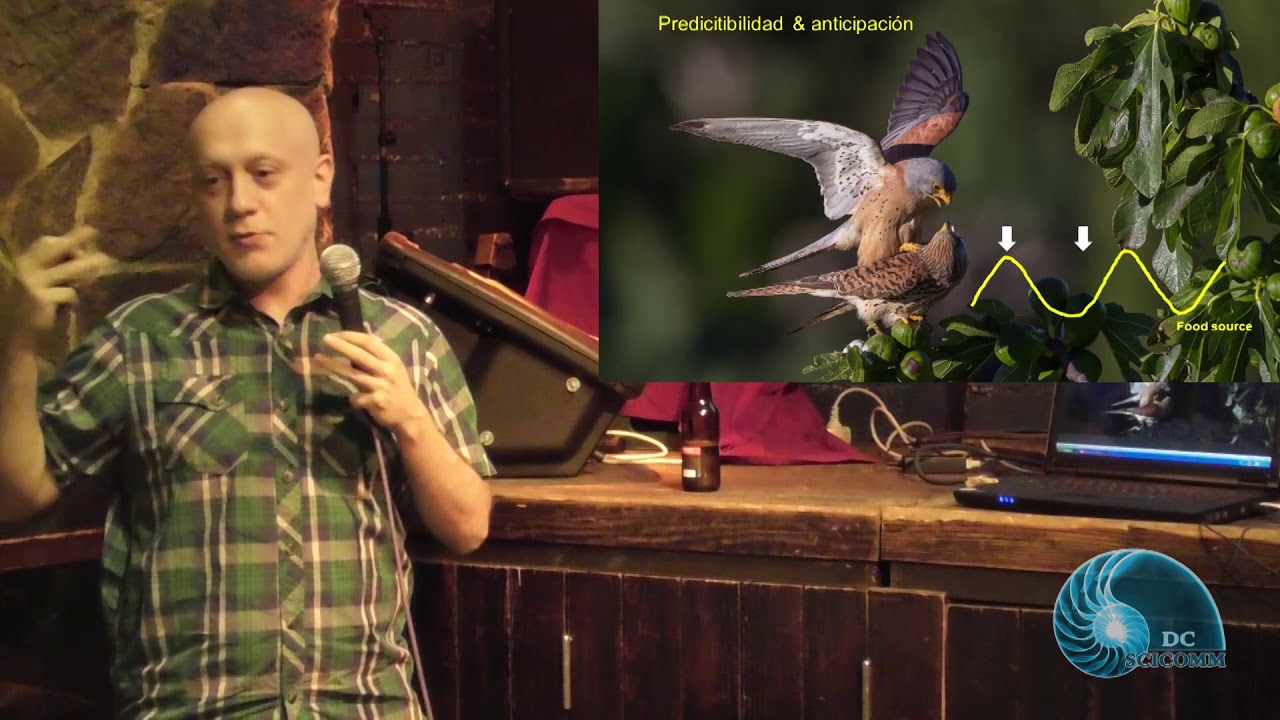 Inmunidad circadiana, por el Dr. Andrés Hidalgo - YouTube