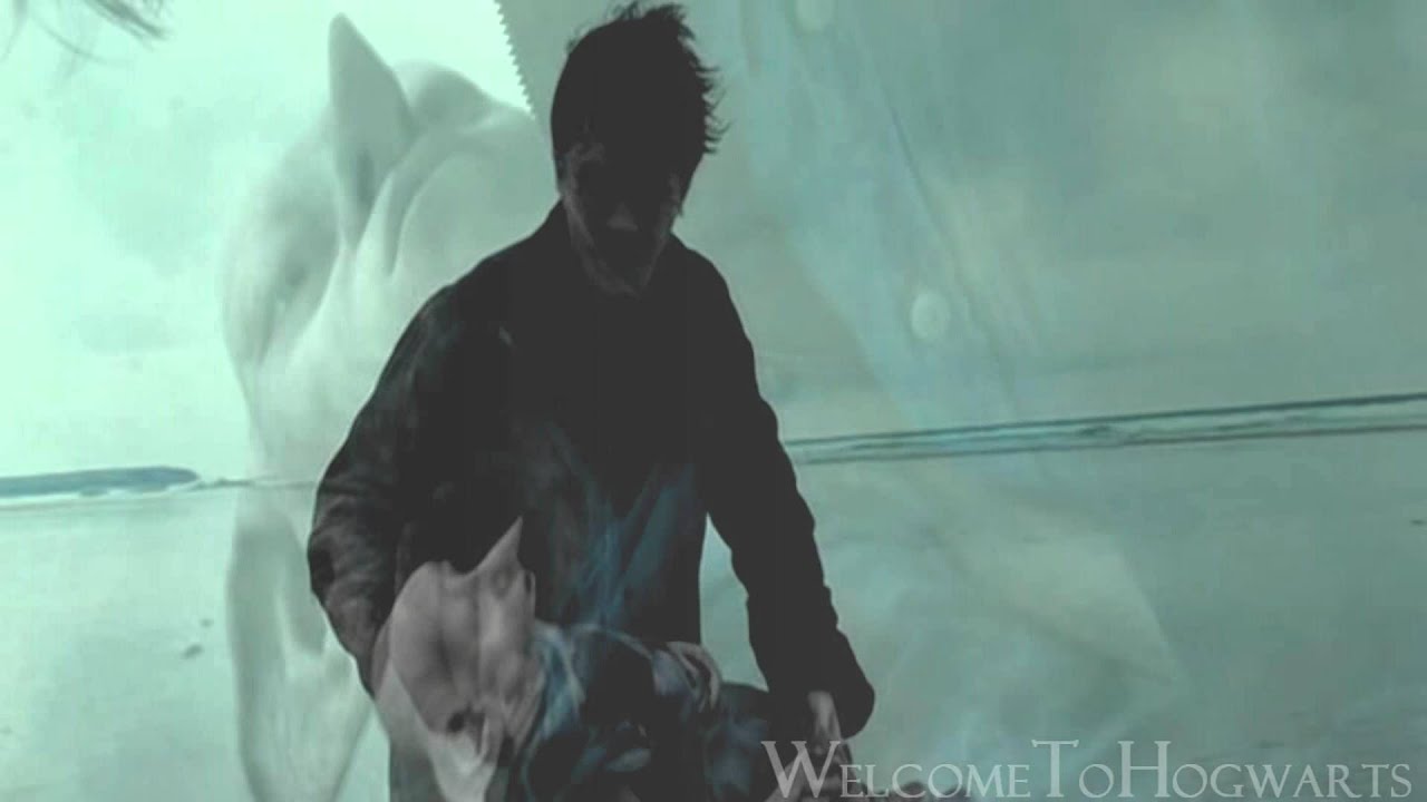 "Never try to save me again..." {R.I.P Dobby} - YouTube
