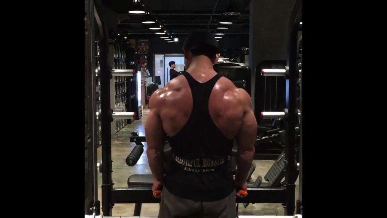 Rows & pull-ups - John Kwon, pro Bodybuilder from Korea - YouTube