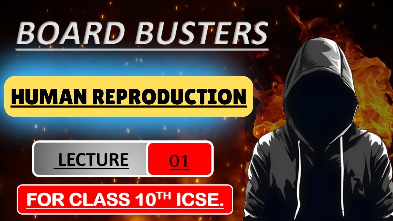 Human reproduction - 1 || Male Reproductive System || Board Busters ...