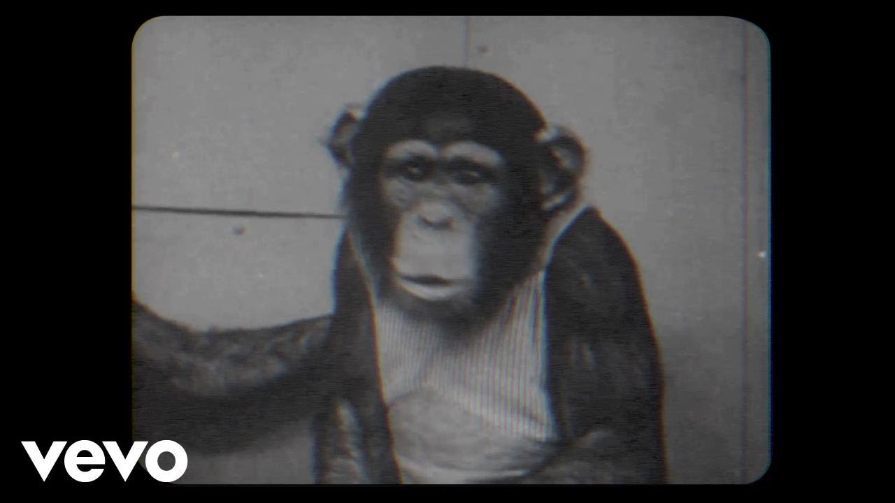 Brayden Pierce - Savage (Official Video) - YouTube