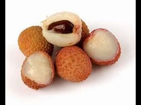 UpBe Canned Lychee Inspection