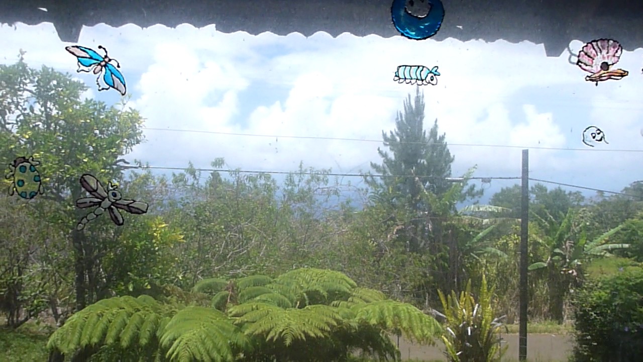 PAAUILO MAUKA 4 - YouTube