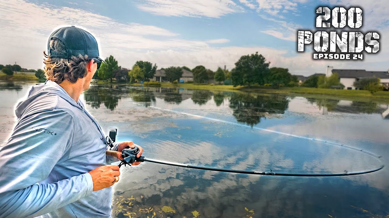 I Found A LOADED Neighborhood Pond! ("200 Ponds" Ep. 24) - YouTube