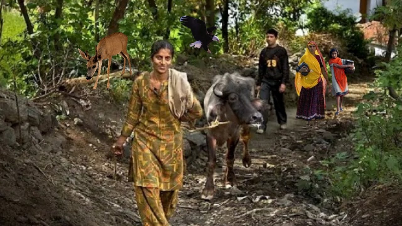 Rural life of the poor people india || Farmers life india utaar pradesh ...