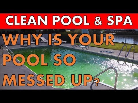 Why Is Your Pool Messed Up? | 1st Video Review Ever!! - YouTube