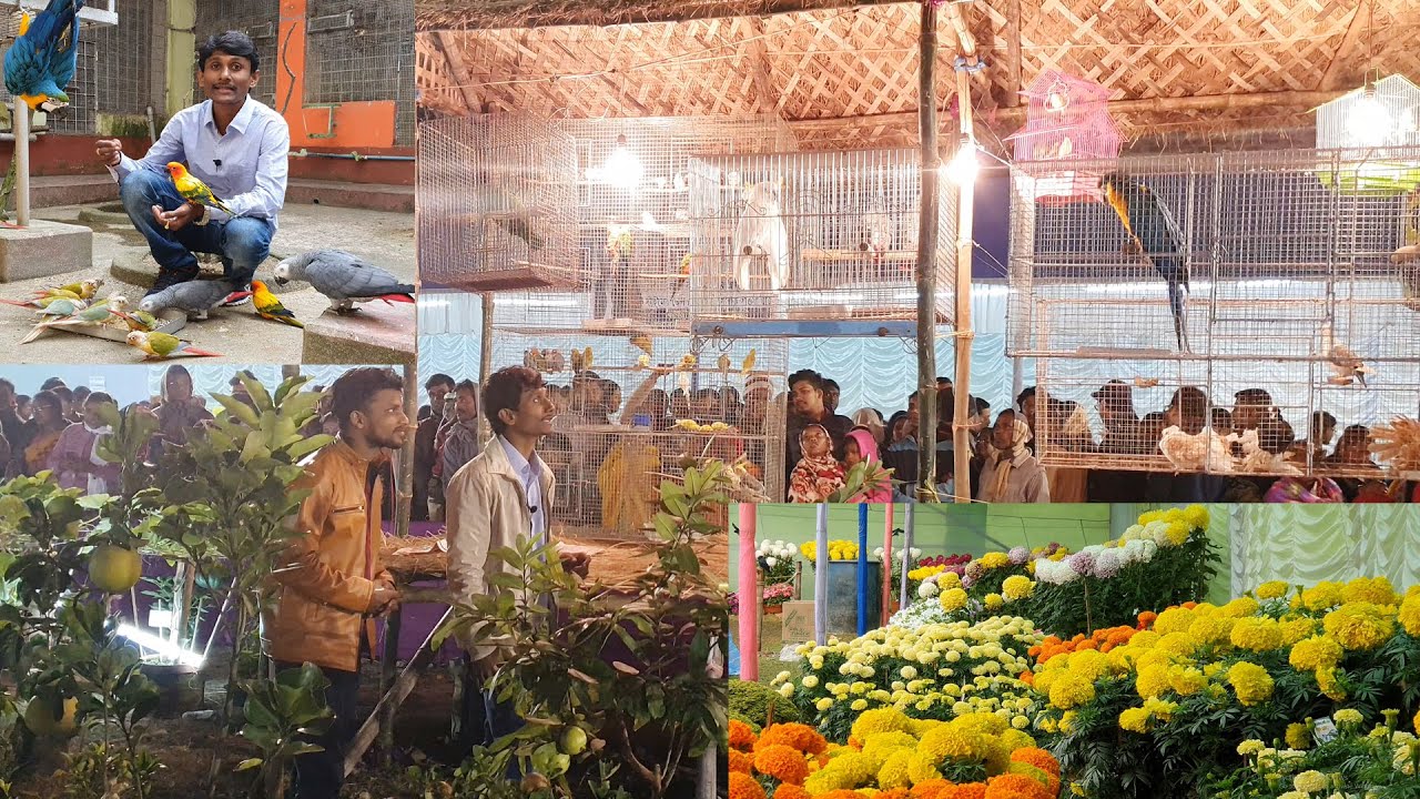 Attractive Exotic Birds In Flower Exhibition / Natural Combination Of ...