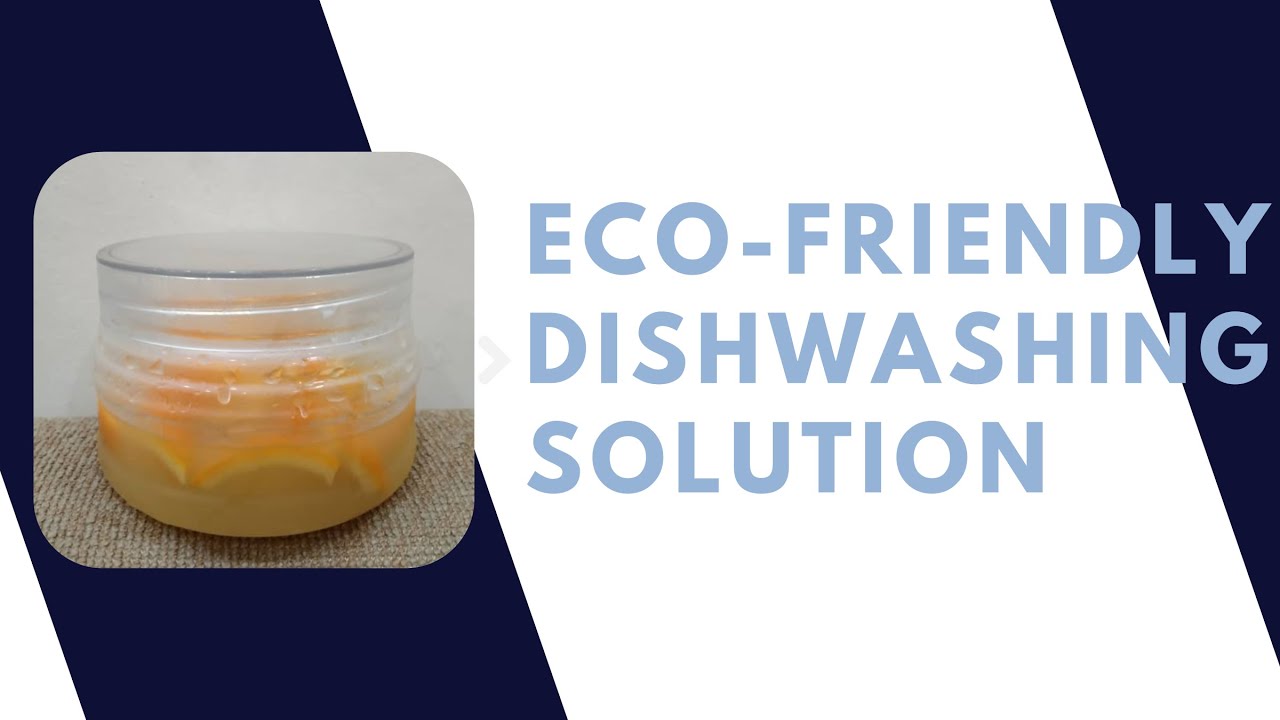 ECO-FRIENDLY DISHWASHING🧽 DIY #SIC'24 - YouTube