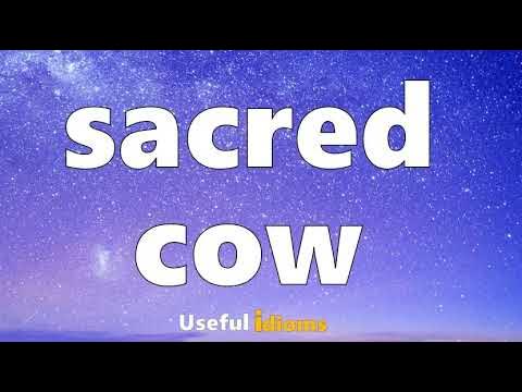 Useful Idioms 136: Sacred cow - YouTube