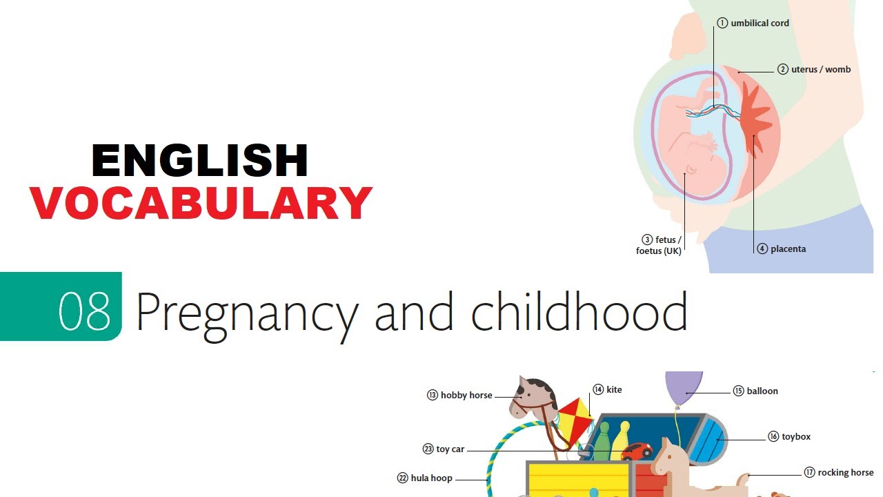 English Vocabulary - part 8/180 - Pregnancy and childhood - YouTube