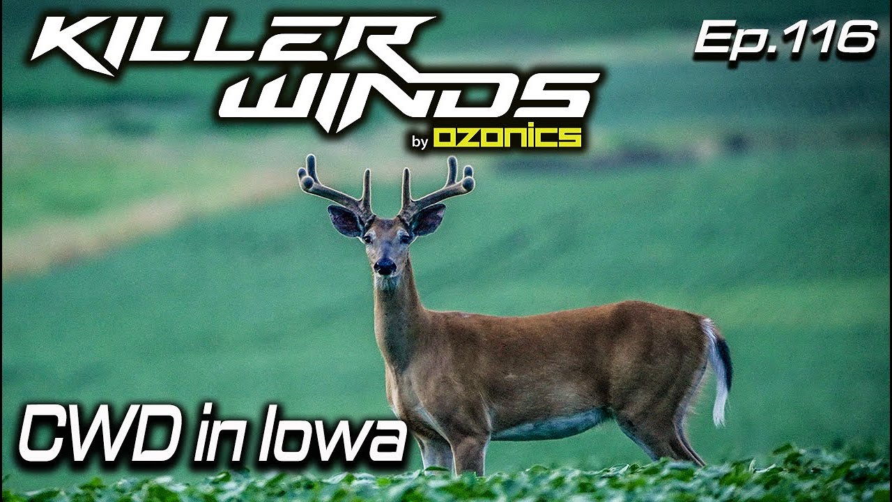 CWD in Iowa with DNR State Deer Biologist, Jace Elliott || Killerwinds ...