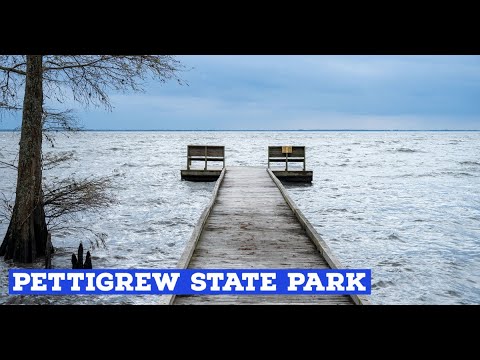 Guide to Pettigrew State Park | Top 5 things to do - YouTube