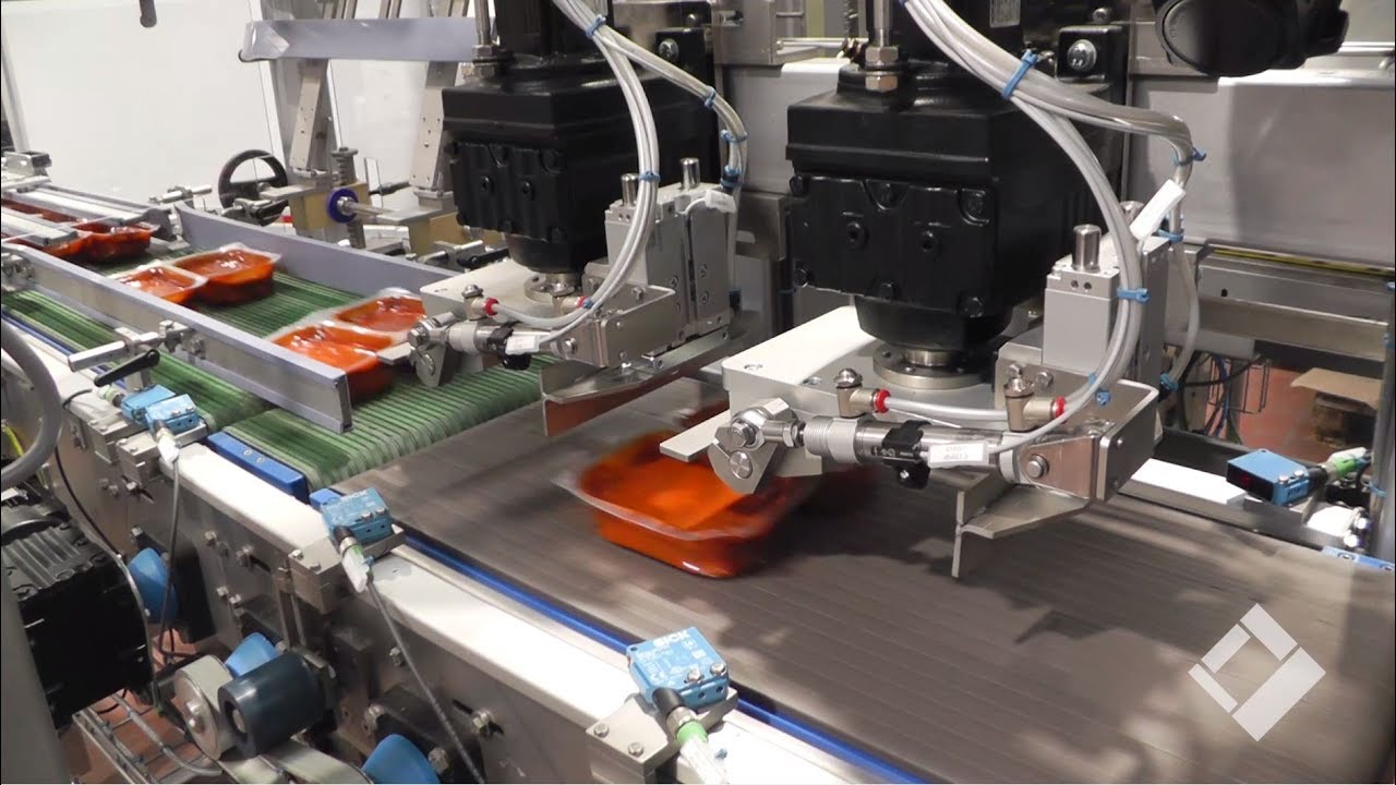 Meypack - Packaging machine with routing system for thermoformed meat ...