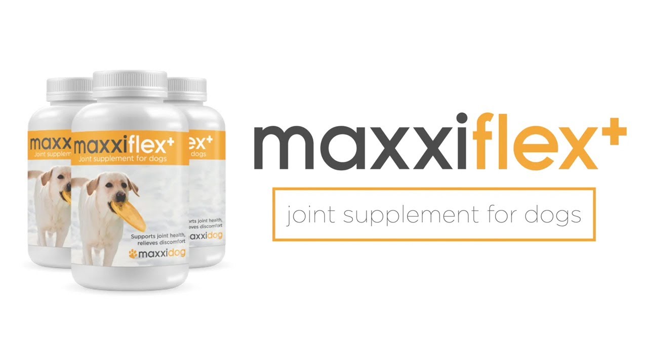 maxxiflex+ natural joint supplement for dogs - YouTube
