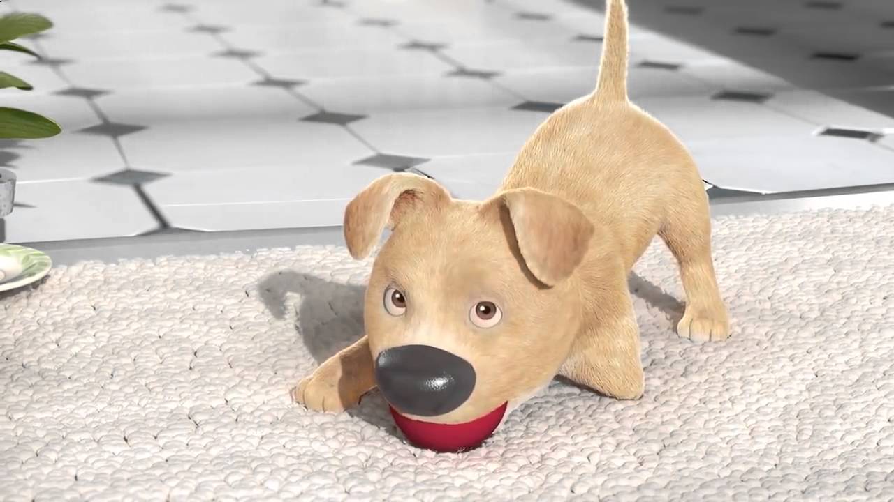 Animated movie (: The Present :) by Jacob Frey - YouTube