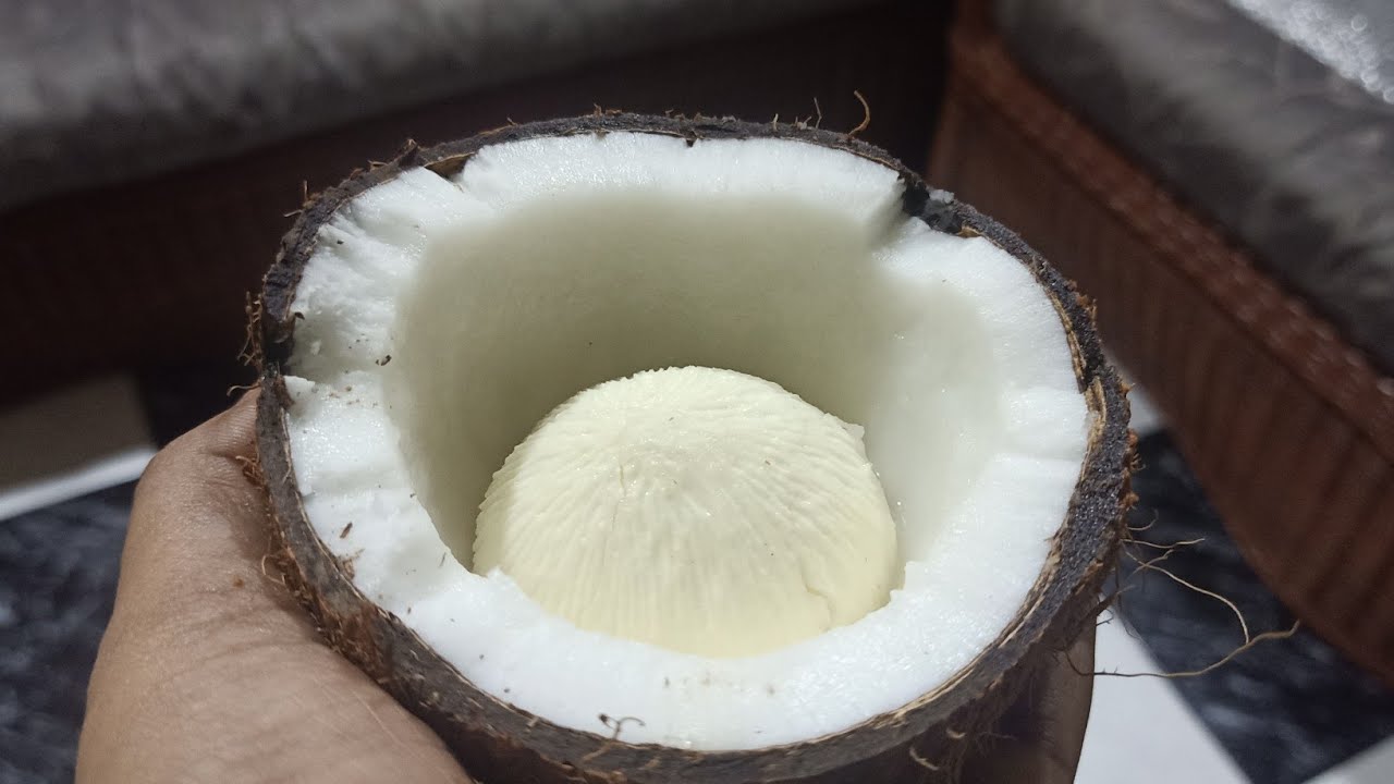 Coconut flower seeing for the first time😍😍/Thengai poo/sprouted coconut ...