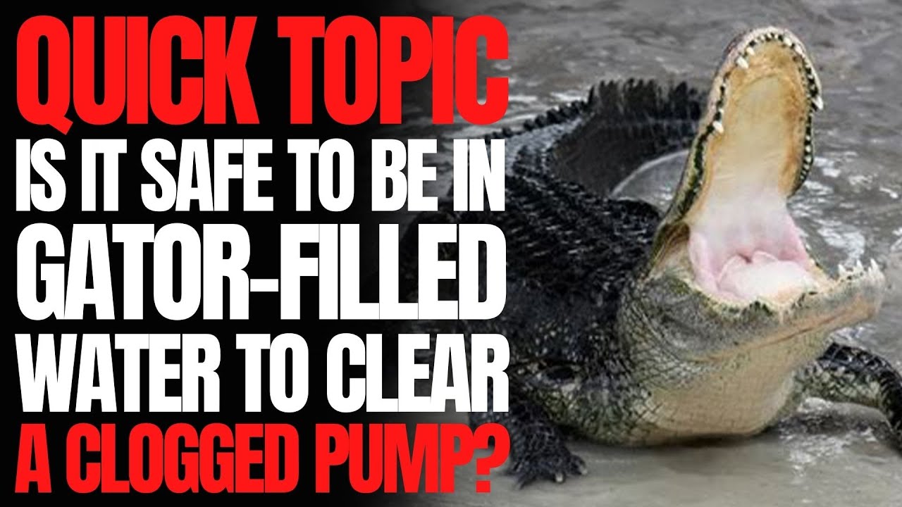 Is It Safe to Be In Gator-Filled Water to Clear a Clogged Pump? WCJ ...