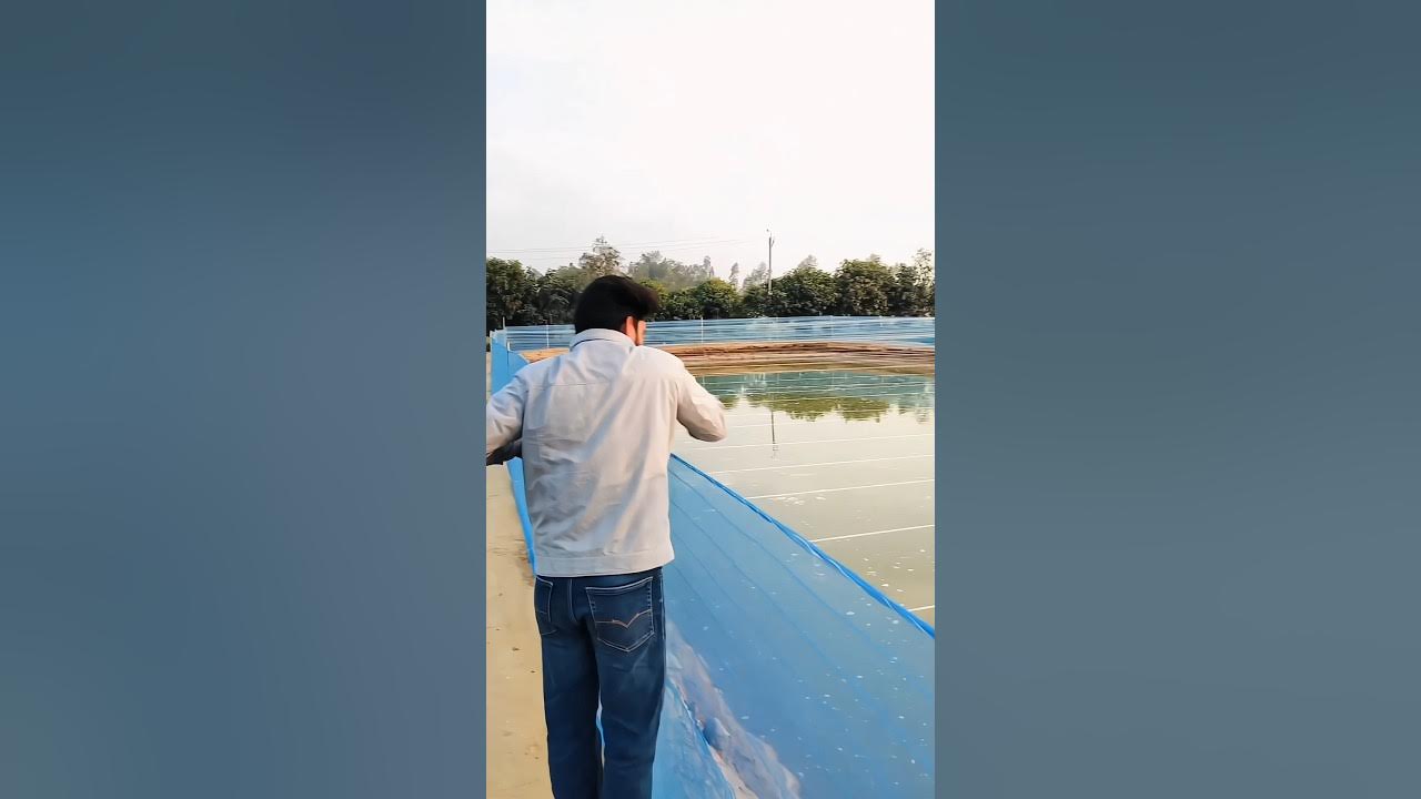 🐟 Smart Fish Farming – Day 3 | Fresh Feed for Healthy Growth! 🍽️ - YouTube