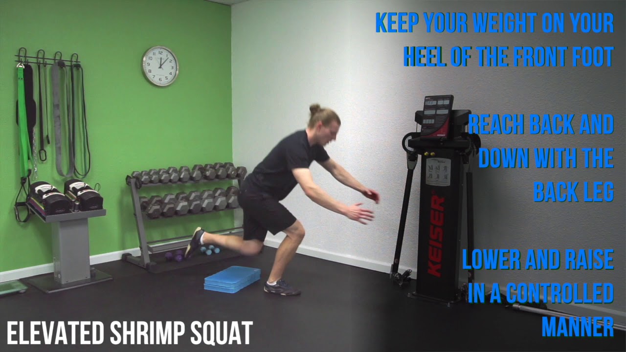 Elevated Shrimp Squat - YouTube