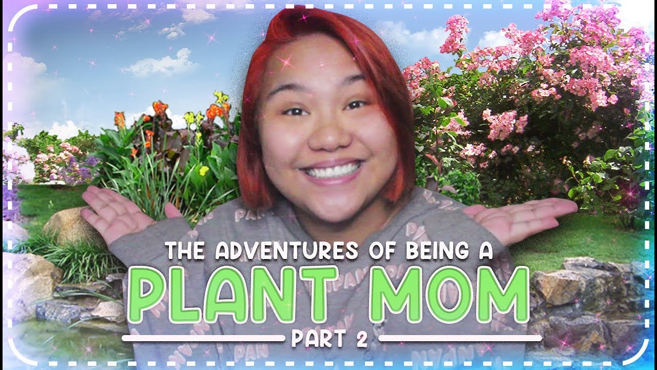 The Adventures Of Being A Plant Mom Part - 2 | VLOG 6 - YouTube