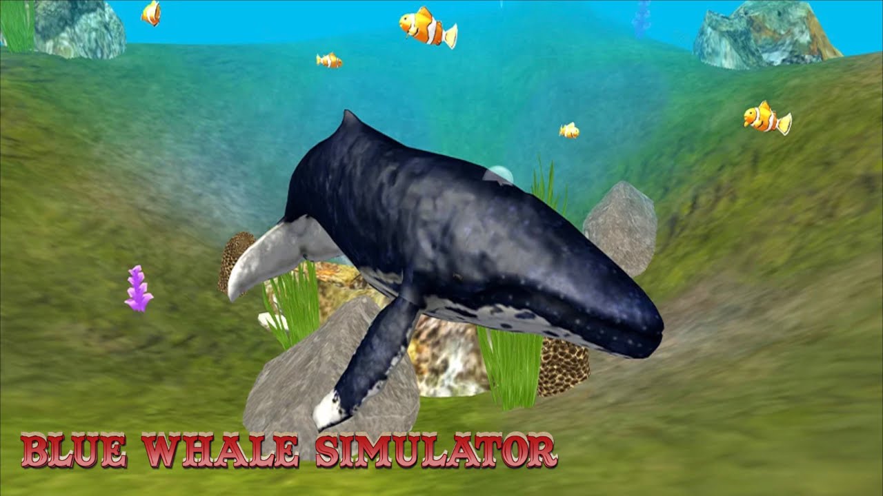 Blue Whale VS Great White Shark Whale, Orca, Octopus, Dolphin - YouTube