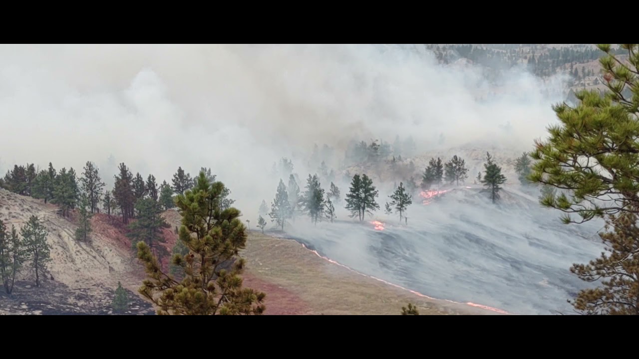 USFWS Fire 2021 - YouTube