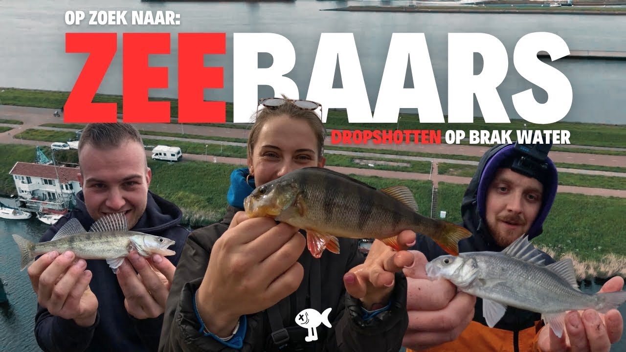 zeebaars vissen | dropshot succes op brak water - YouTube