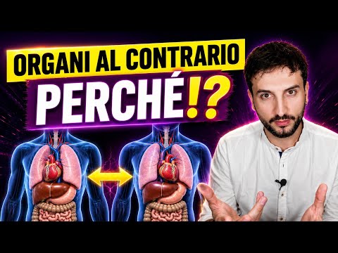 SITUS INVERSUS. Perché il cuore è a sinistra (e in alcuni casi a destra)?
