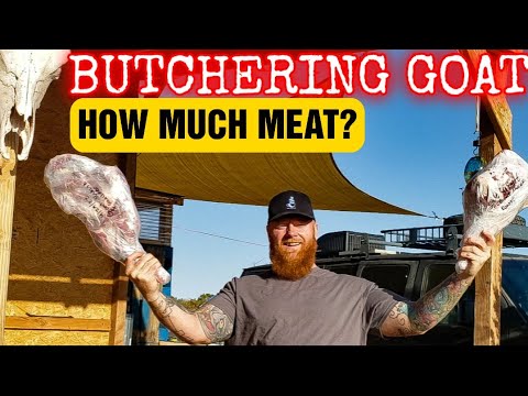 Butchering | Goat Meat | Arizona Homestead - YouTube
