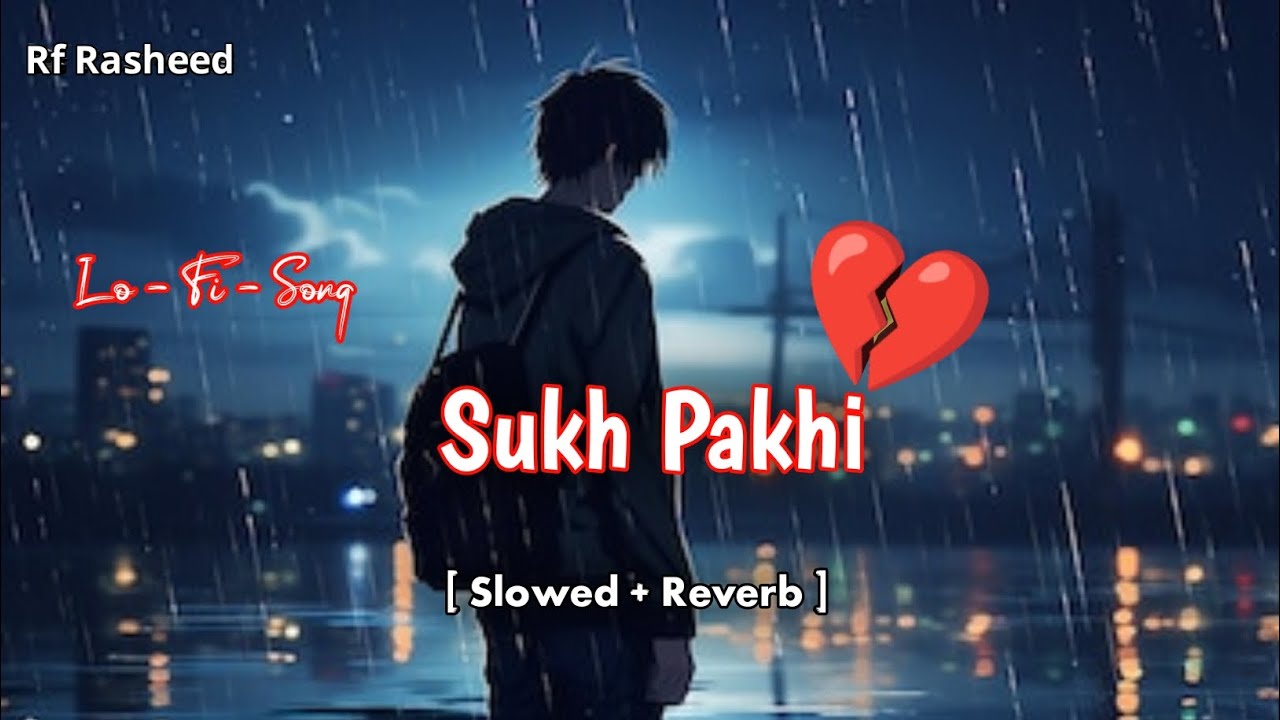 Lo - Fi - Sukh Pakhi Premi // Broken Heart Hindi Song // New Song 2025 ...
