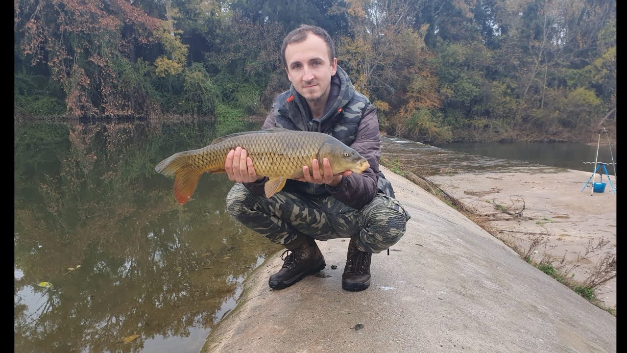 Pescuit la crap în Spania. DECEMBRIE. 4k - YouTube