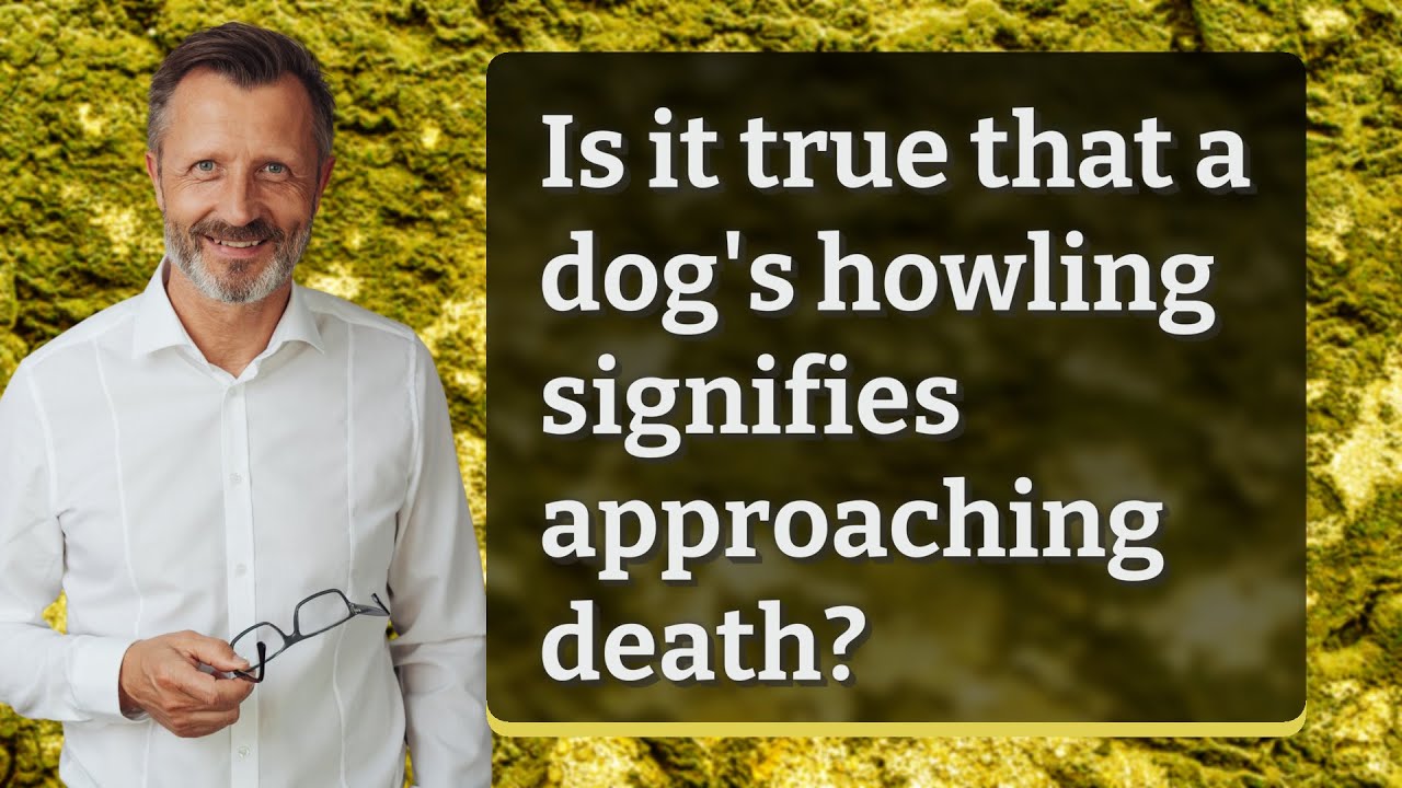 Is it true that a dog's howling signifies approaching death? - YouTube