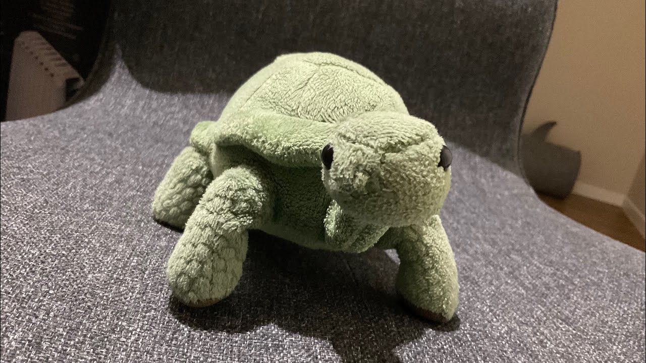 Da bowling turtle - YouTube