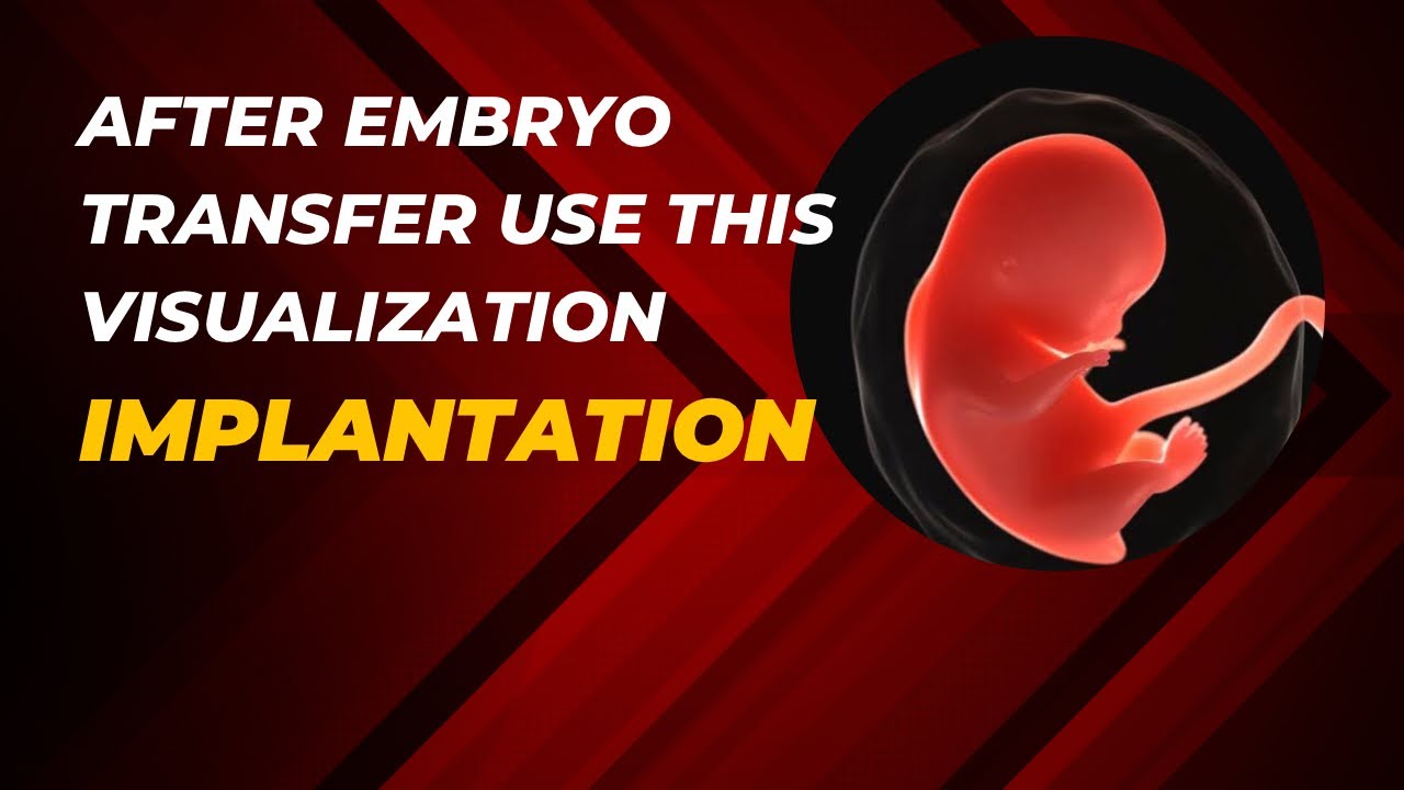 AFTER EMBRYO TRANSFER USE THIS VISUALIZATION TO HELP IMPLANTATION - YouTube