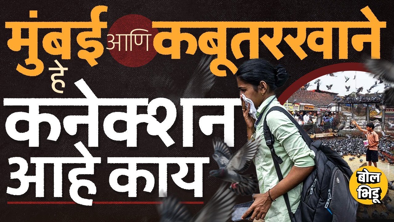 Mumbai High Court चा निर्णय, Dadar चा कबूतर खाना बंद, पण जैन समाजाकडून ...