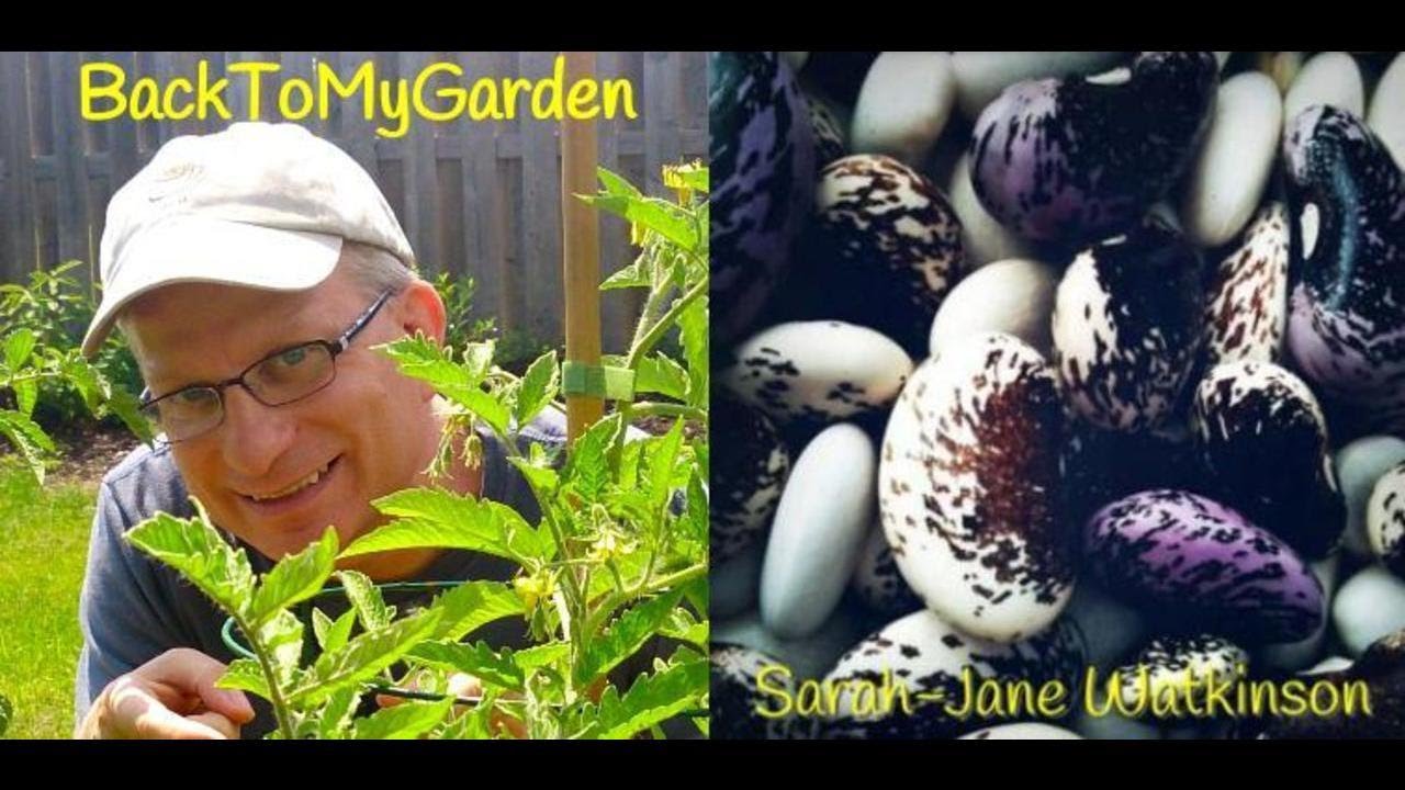 The Greedy Gardener with Sarah-Jane Watkinson - YouTube