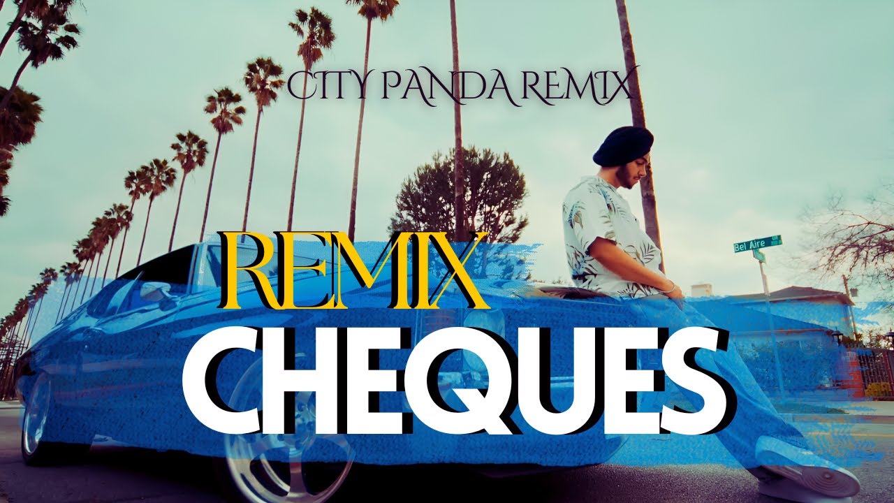 Shubh - Cheques |Remix | City Panda Remix - YouTube