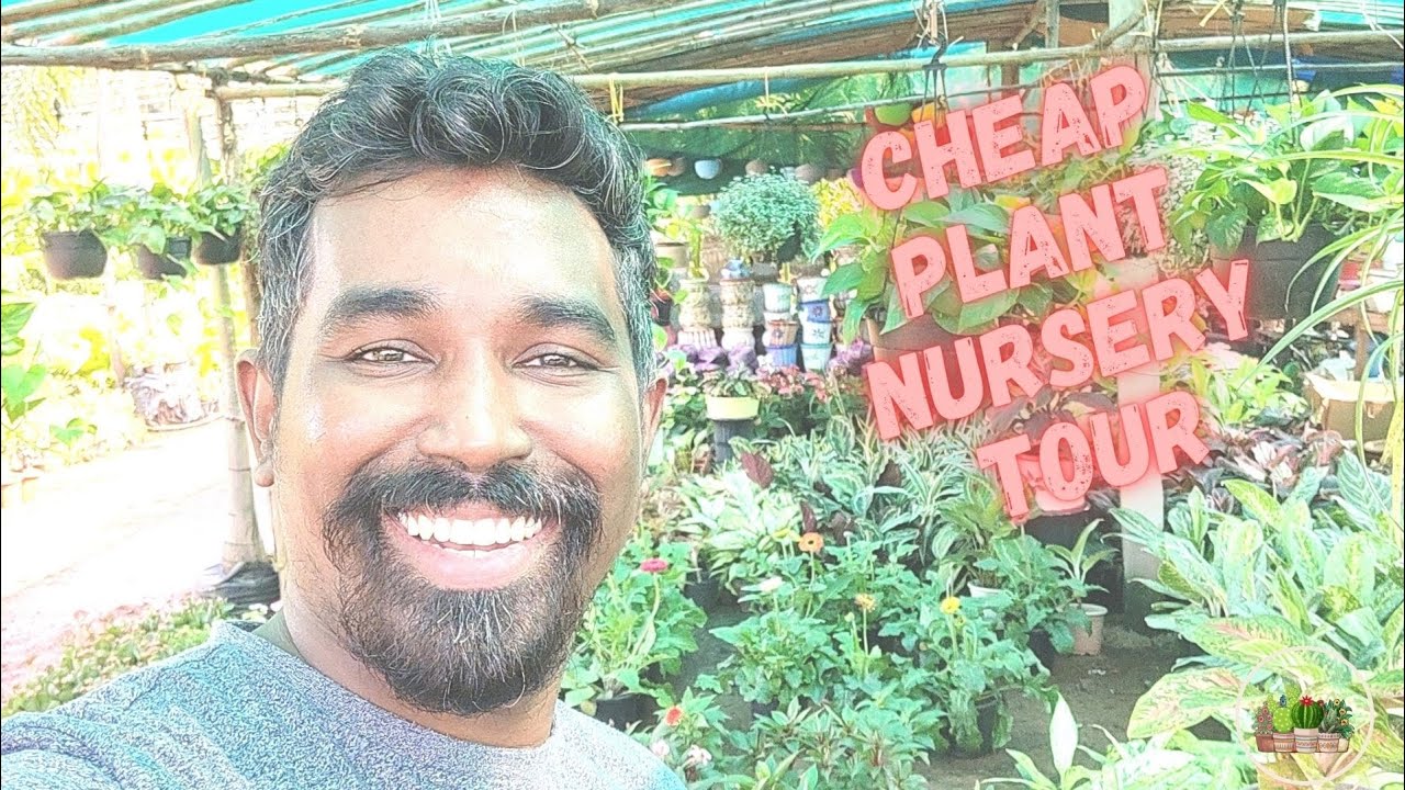 Cheap plant nursery tour | Verna, Goa Nursery | Must visit - YouTube