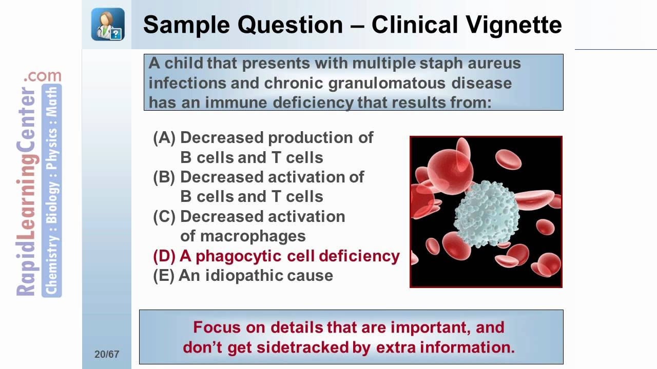 Rapid Learning Introduction To USMLE What Is The USMLE Step 1 Exam rapid-learning-introduction-to-usmle-what-is-the-usmle-step-1-exam