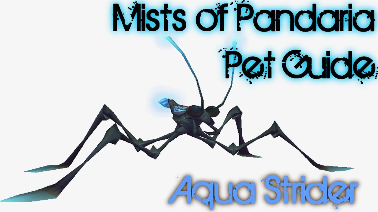 Aqua Strider Pet - Nalash Verdantis - MoP Companion Pet Guide - YouTube
