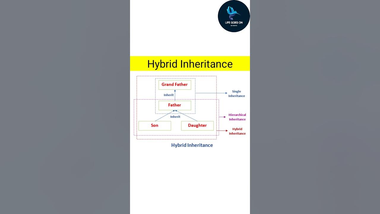 Hybrid Inheritance l java concepts l java basics l Life Goes On - YouTube