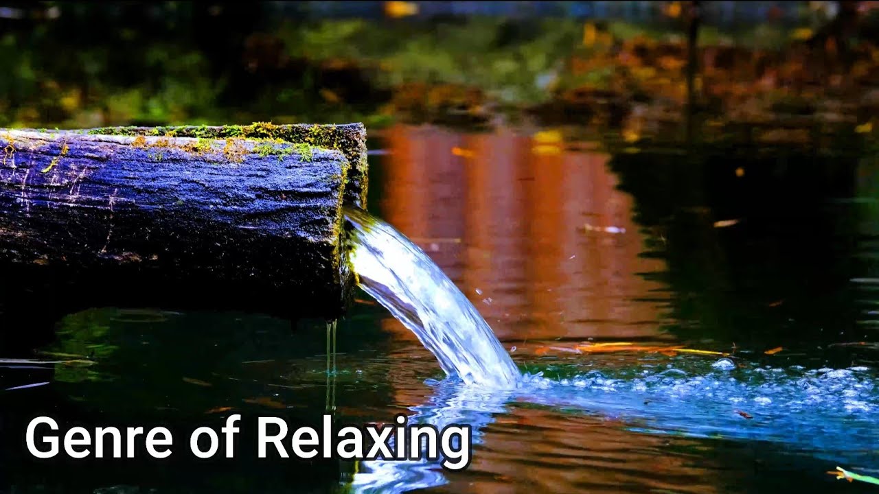 Tranquil Streams: Soothing Water Sounds for Relaxation - YouTube