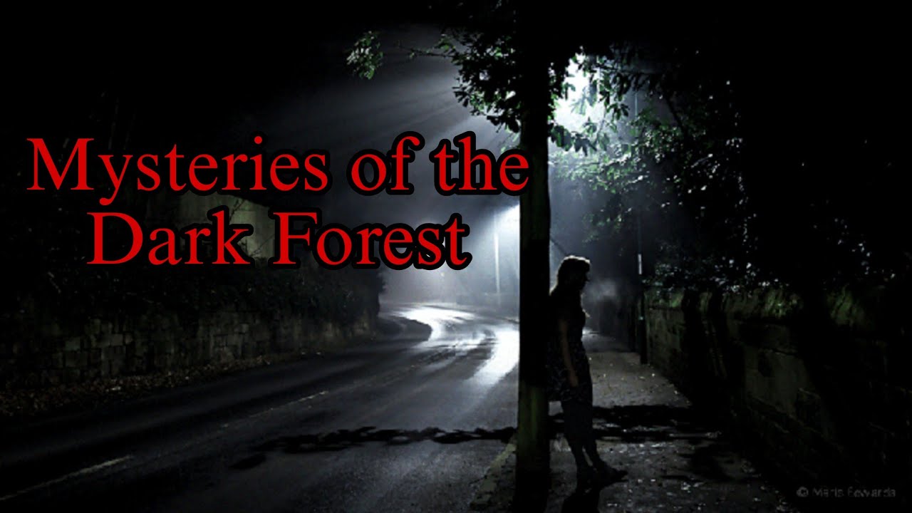 Silent Screams Mysteries Of The Dark Forest New Horror Story 2025